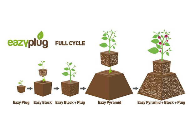 Eazy Plug Pyramid Organic - Large 25x25x15cm – Pakenham Hydroponics