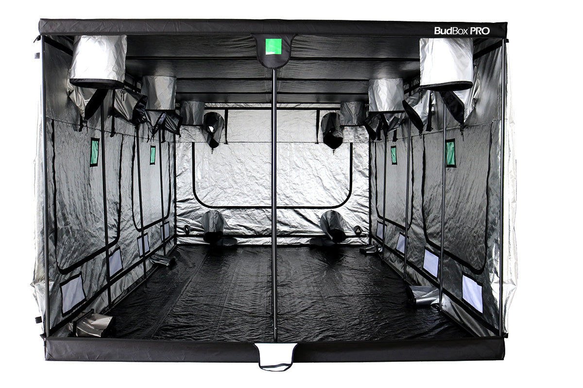 Bud Box PRO SILVER High Ceiling Tent – Pakenham Hydroponics