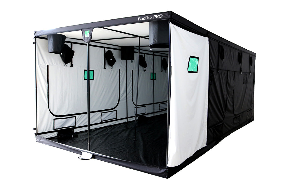 Bud Box PRO WHITE High Ceiling Tent – Pakenham Hydroponics