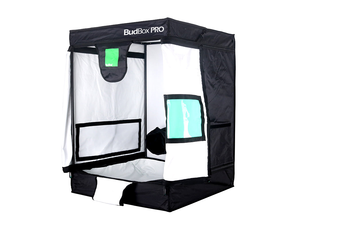 Bud Box PRO WHITE High Ceiling Tent – Pakenham Hydroponics
